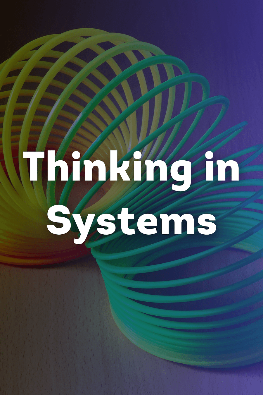 Thinking in Systems (Donella H. Meadows) - Book Summary
